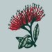Our People – Puni School NZ