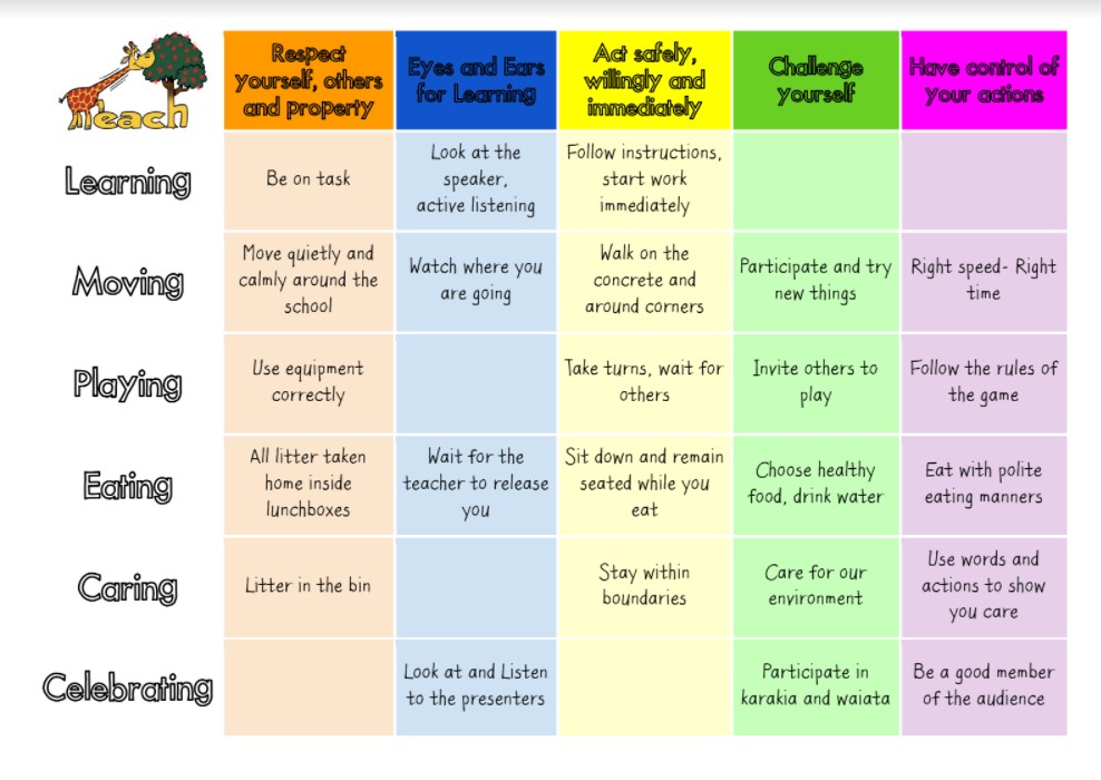 PB4L REACH – Puni School NZ